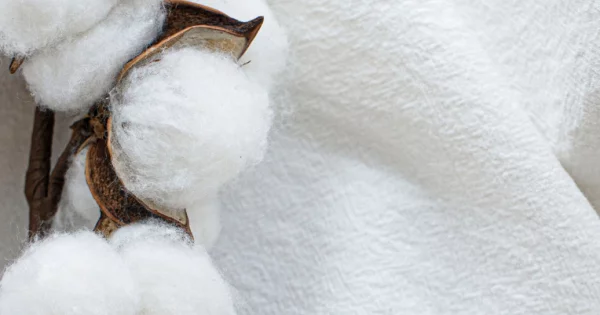 Cotton underwear - qualities and benefits